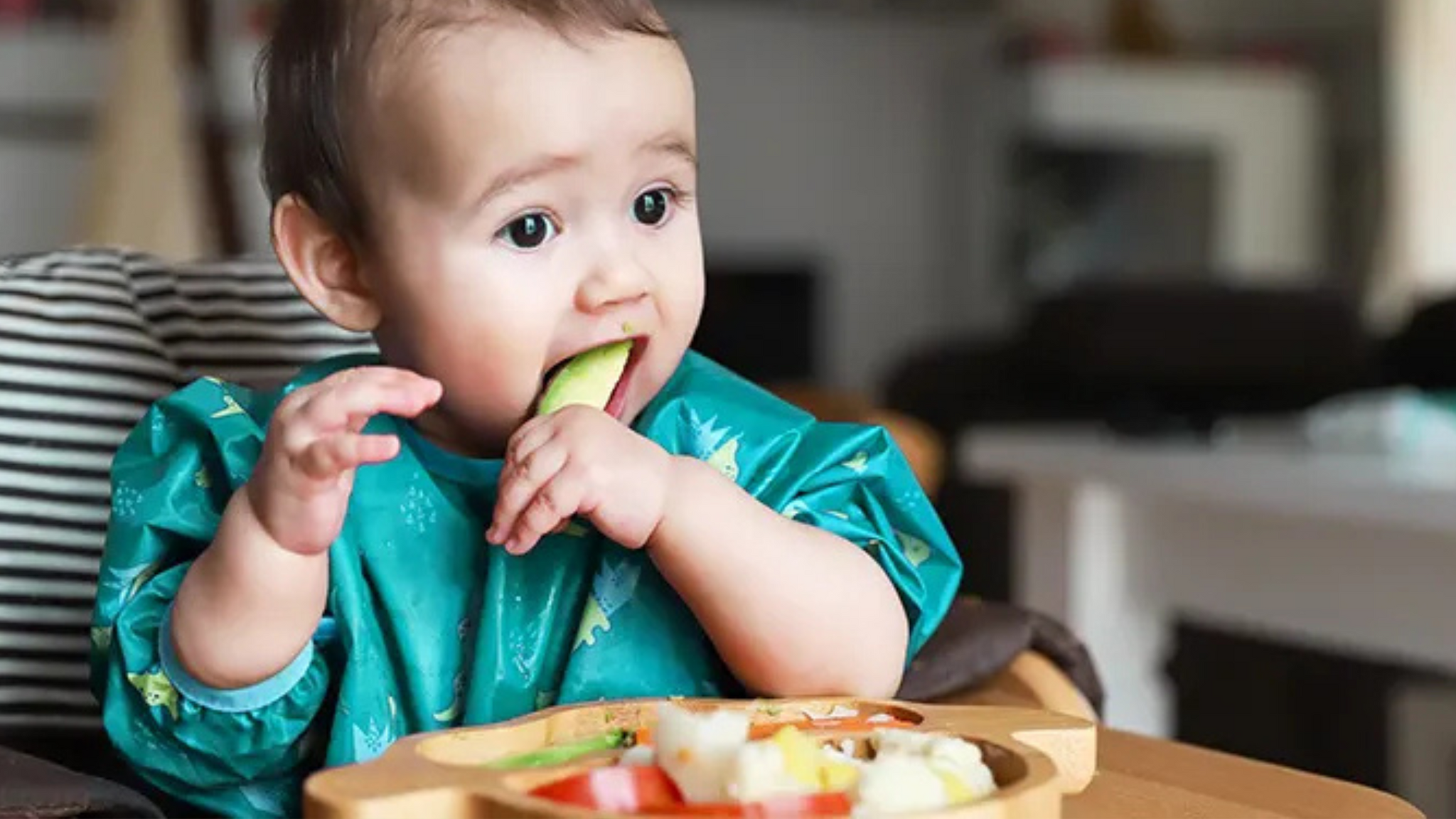 Tips for Baby-Led Weaning Success – Kiddyroo